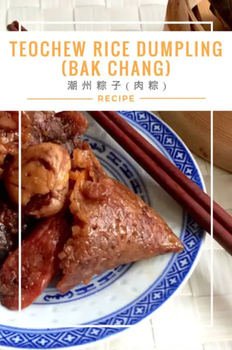 Teochew Rice Dumplings Recipe (Bak Chang) 潮州粽子 | Huang Kitchen