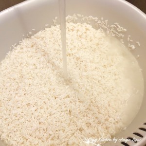 Nyonya Rice Dumplings Recipe (Zong Zi) 娘惹粽子 | Huang Kitchen