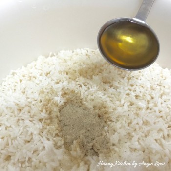 Nyonya Rice Dumplings Recipe (Zong Zi) 娘惹粽子 | Huang Kitchen