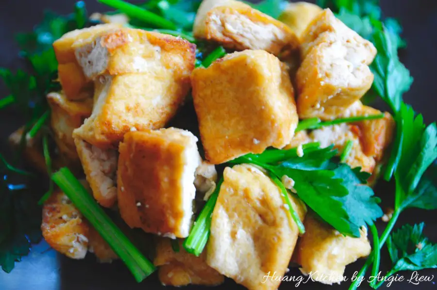 Teochew Treasure Beancurd Recipe 传统潮州豆干 | Huang Kitchen
