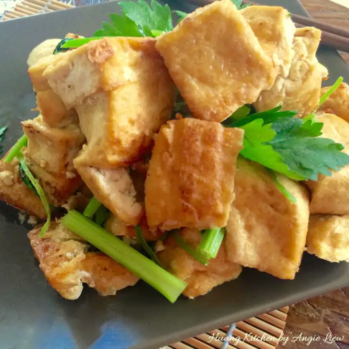 Teochew Treasure Beancurd Recipe 传统潮州豆干 | Huang Kitchen