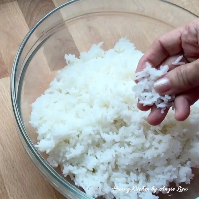 Pattaya Fried Rice (Nasi Goreng Pattaya) 芭堤雅炒饭 / 蛋包饭 | Huang Kitchen