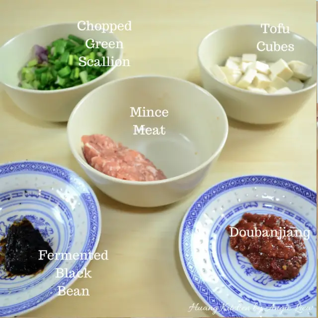 Mapo Tofu Recipe 麻婆豆腐 | Huang Kitchen